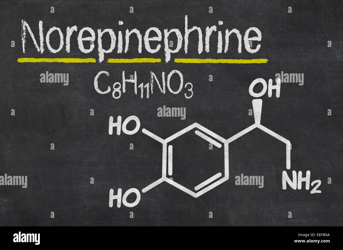 Norepinephrine hi-res stock photography and images - Alamy