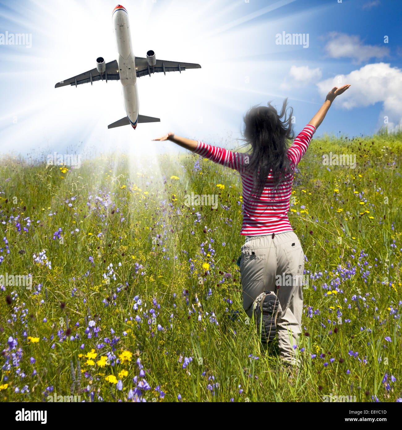 airplane and flower Stock Photo - Alamy