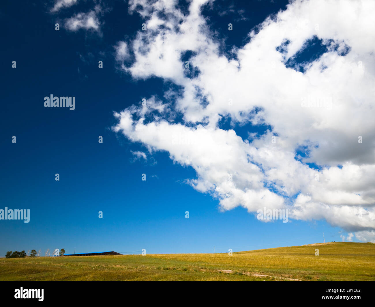 scene of the meadow Stock Photo - Alamy