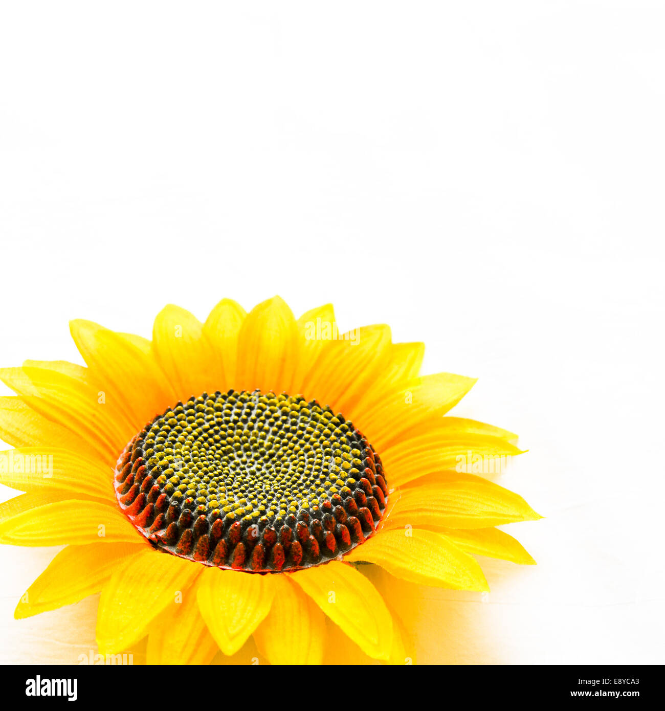 Good morning good morning Cut Out Stock Images & Pictures - Alamy