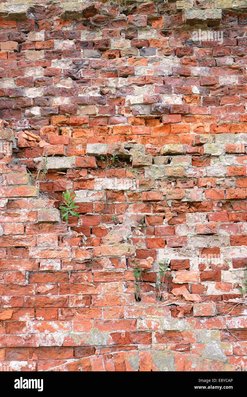 Calculus building hi-res stock photography and images - Alamy