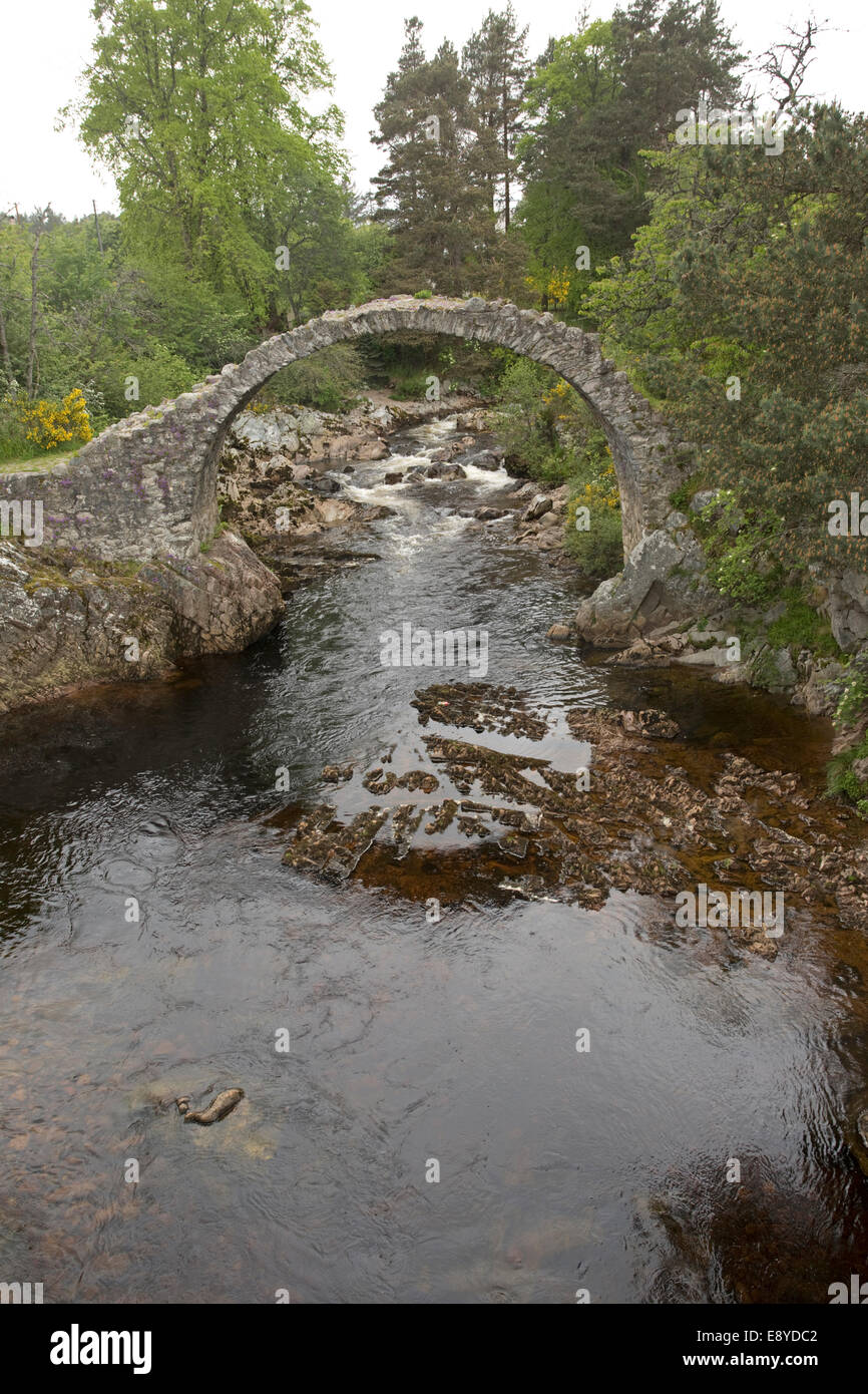 Carrbridge old packhorse bridge over River Dulnain built 1771 near ...