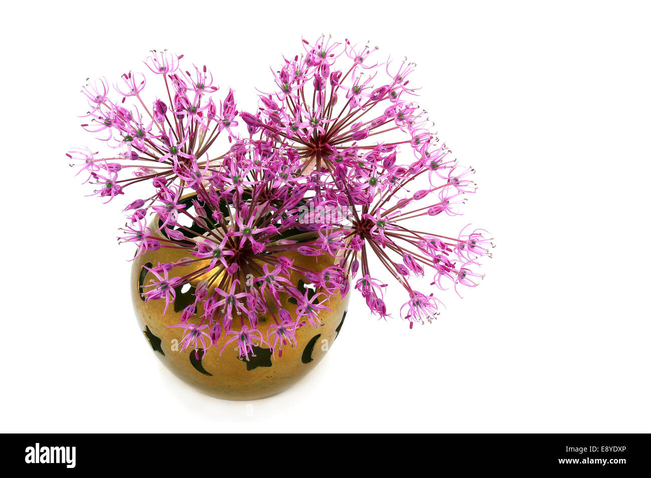 Bronze flower Cut Out Stock Images & Pictures - Alamy