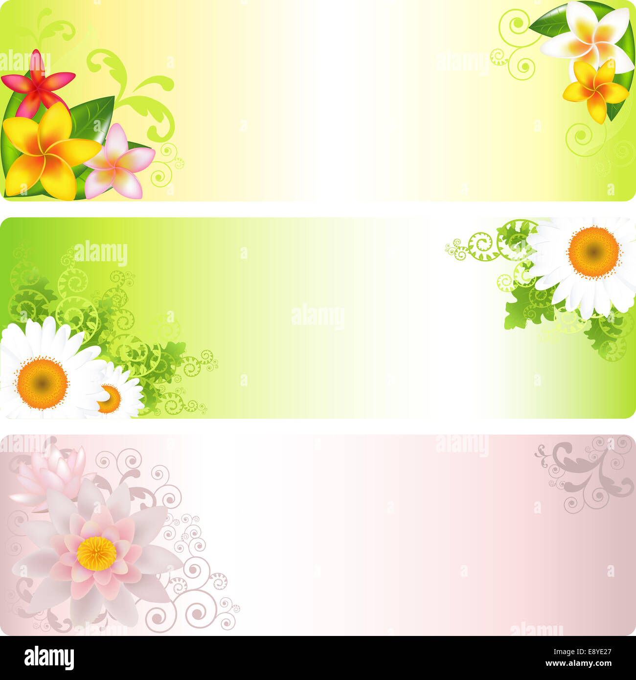 Banner flower hi-res stock photography and images - Alamy