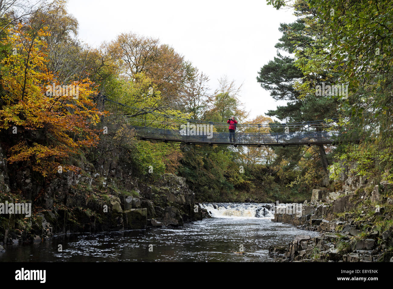 Walker Enjoying the View From Wynch Bridge in Autumn, Upper Teesdale ...