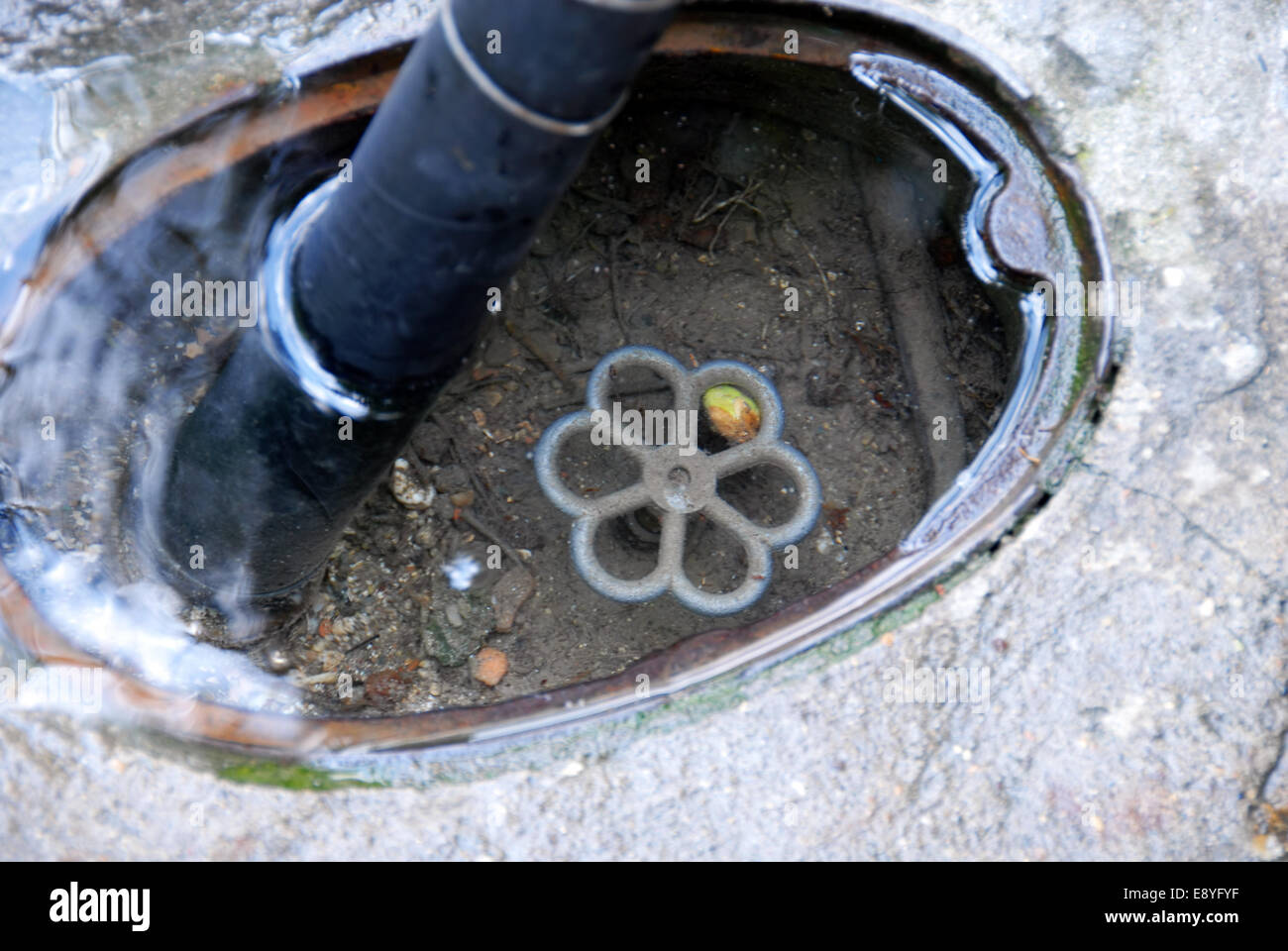 Metal hydrant cover hi-res stock photography and images - Alamy