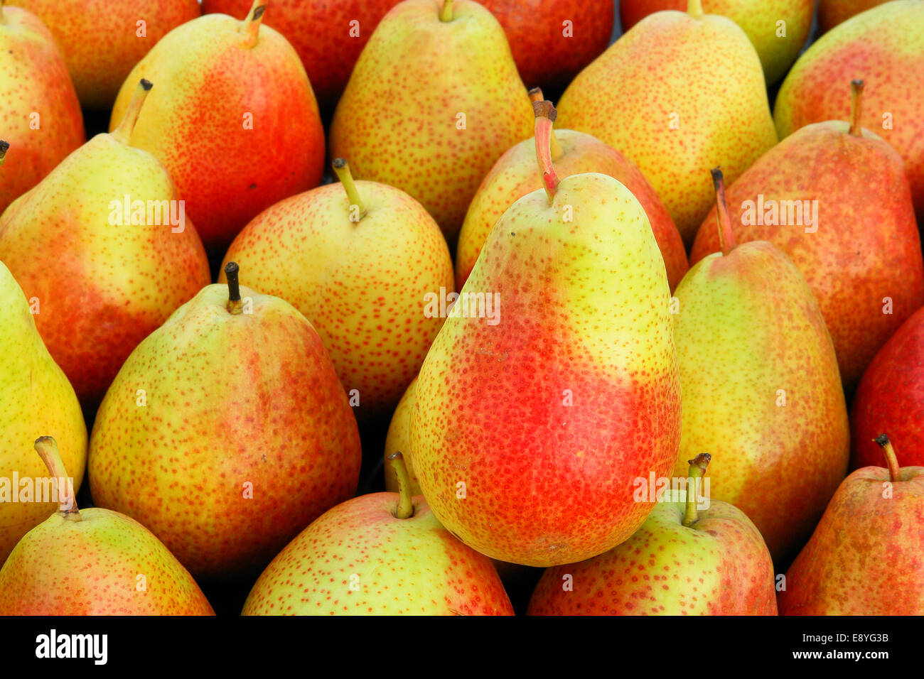 Juicy, sweet pears Stock Photo - Alamy