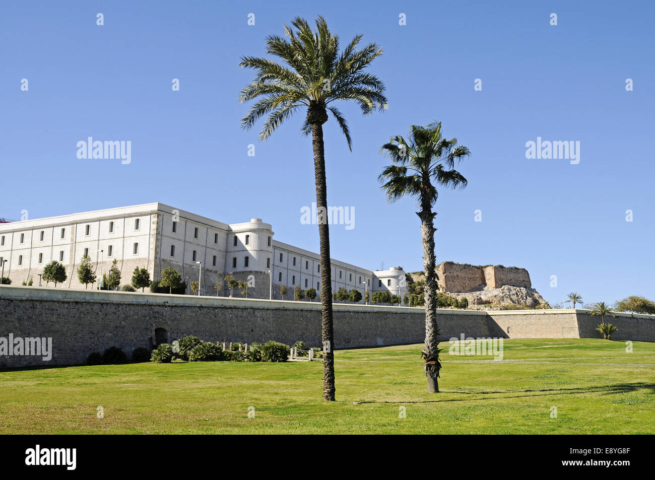 University of murcia hi-res stock photography and images - Alamy