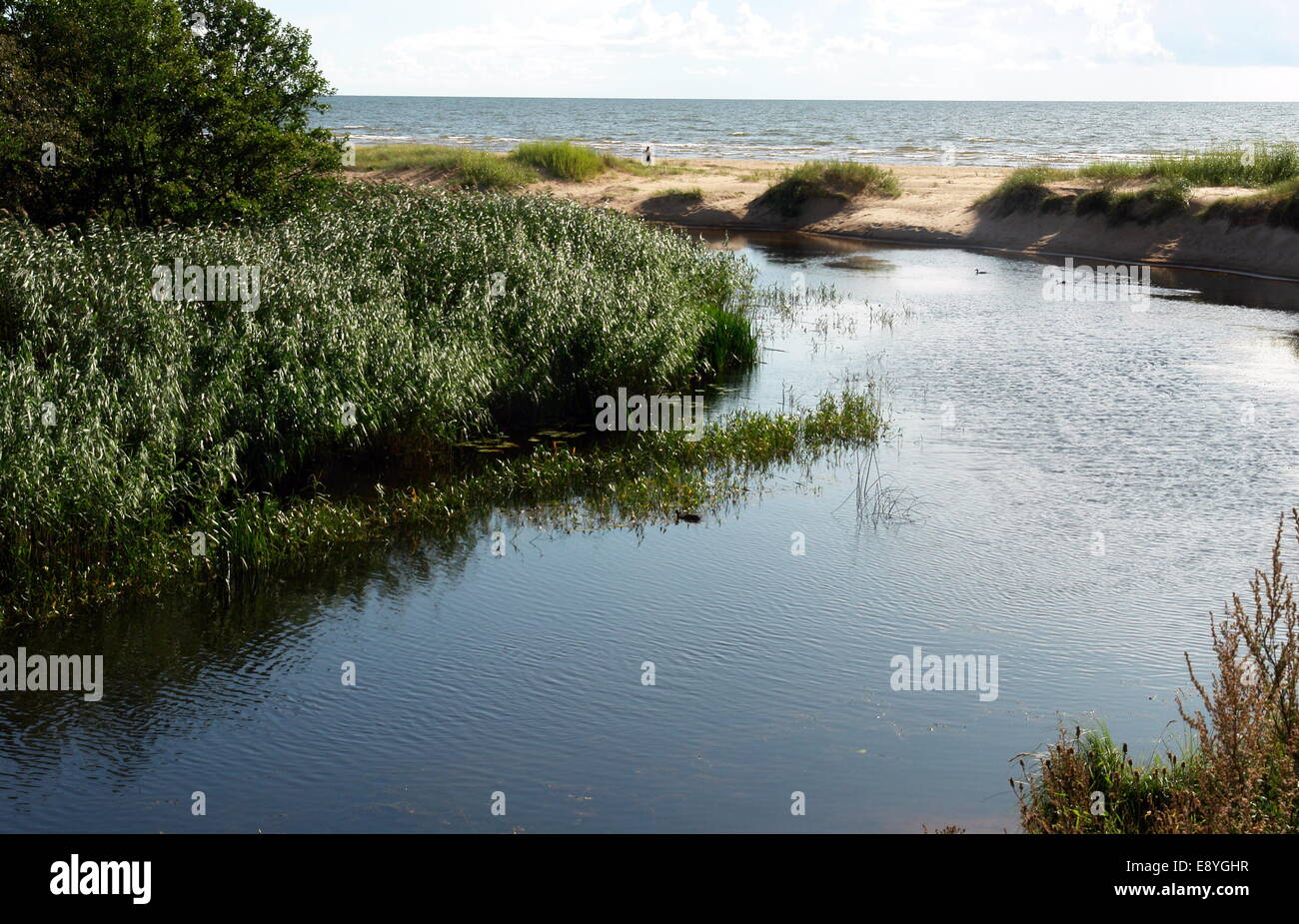 River and the sea Stock Photo - Alamy