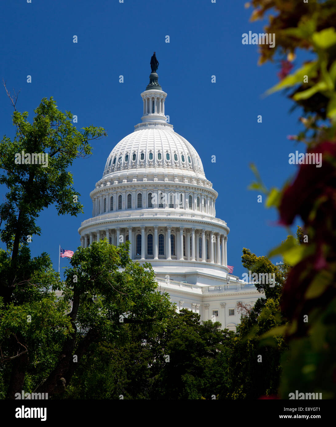 Architecture building trees hi-res stock photography and images - Alamy