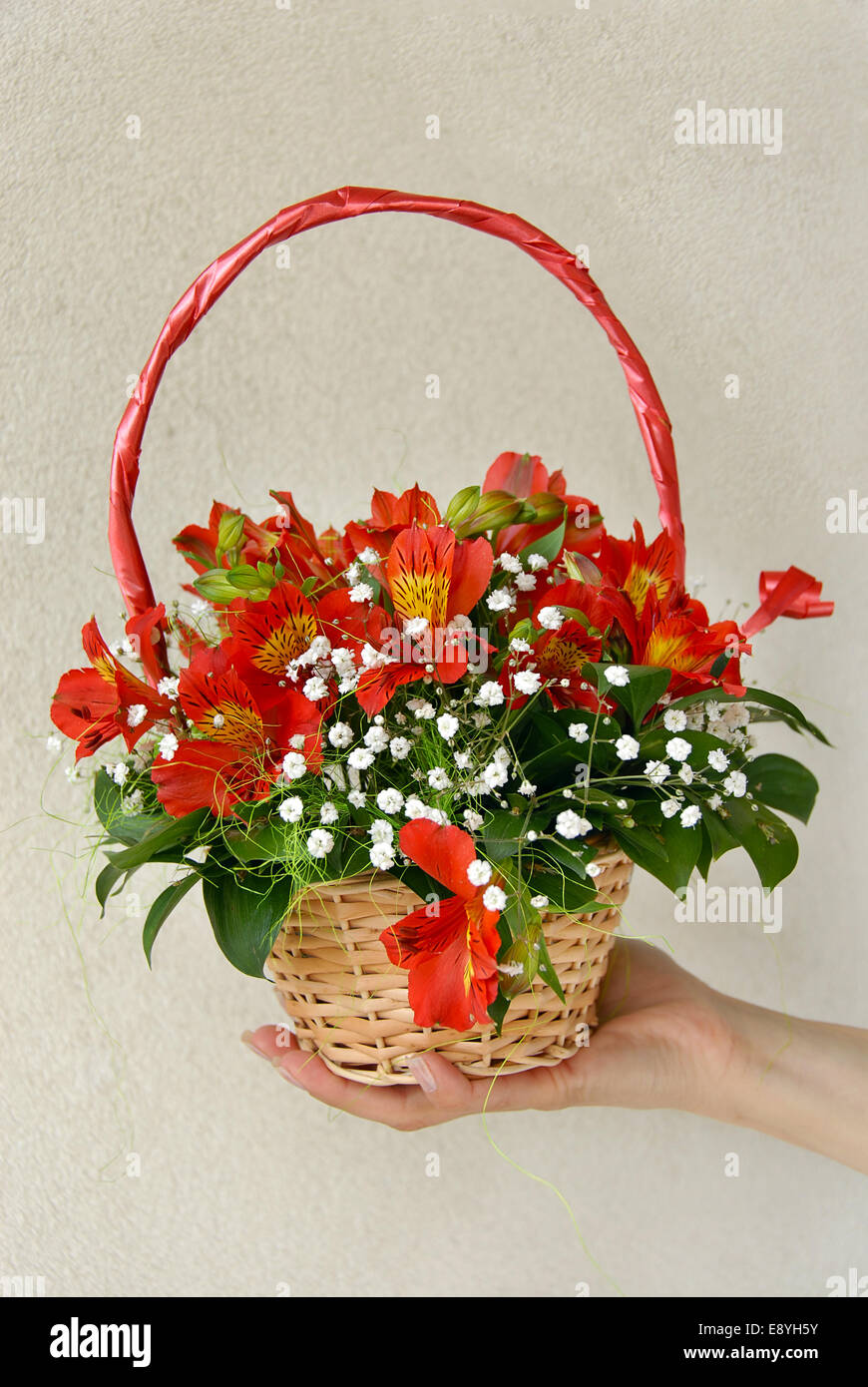 Flowers in punnet Stock Photo - Alamy