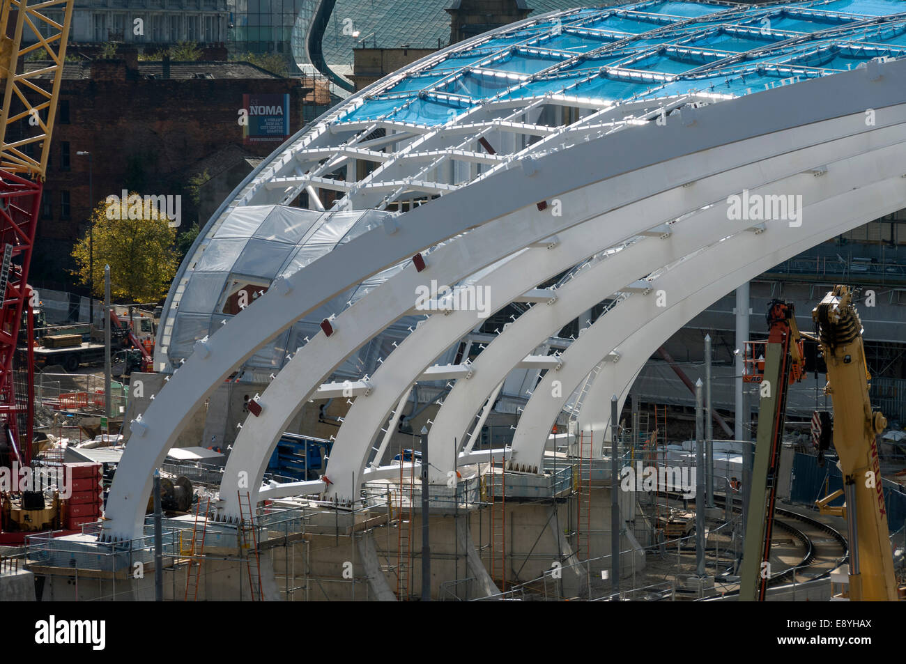 Ribs architecture hi-res stock photography and images - Alamy