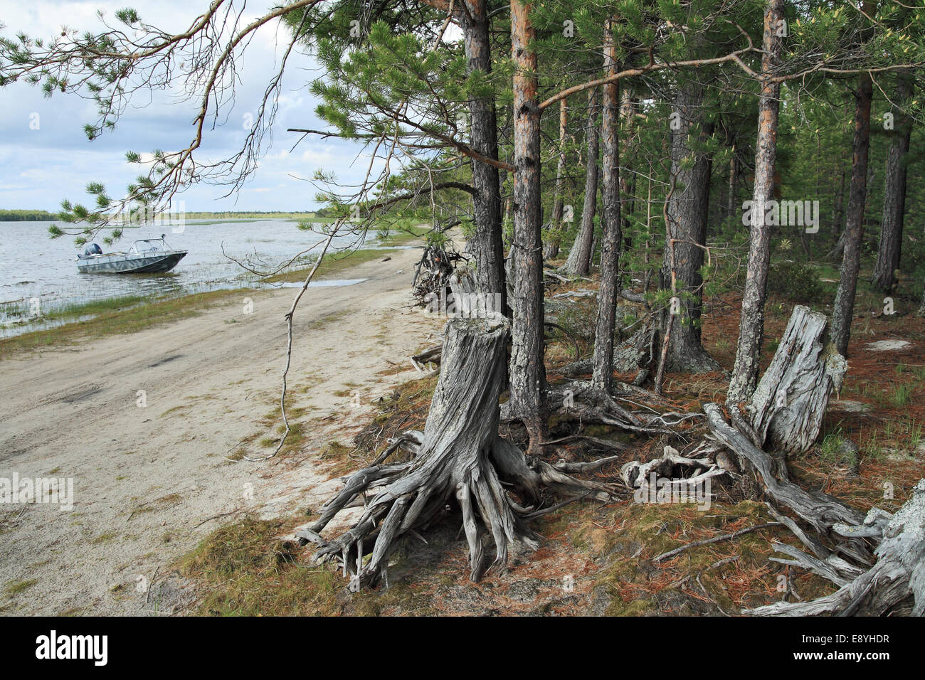 Unique beauty of the wild Siberian nature Stock Photo - Alamy