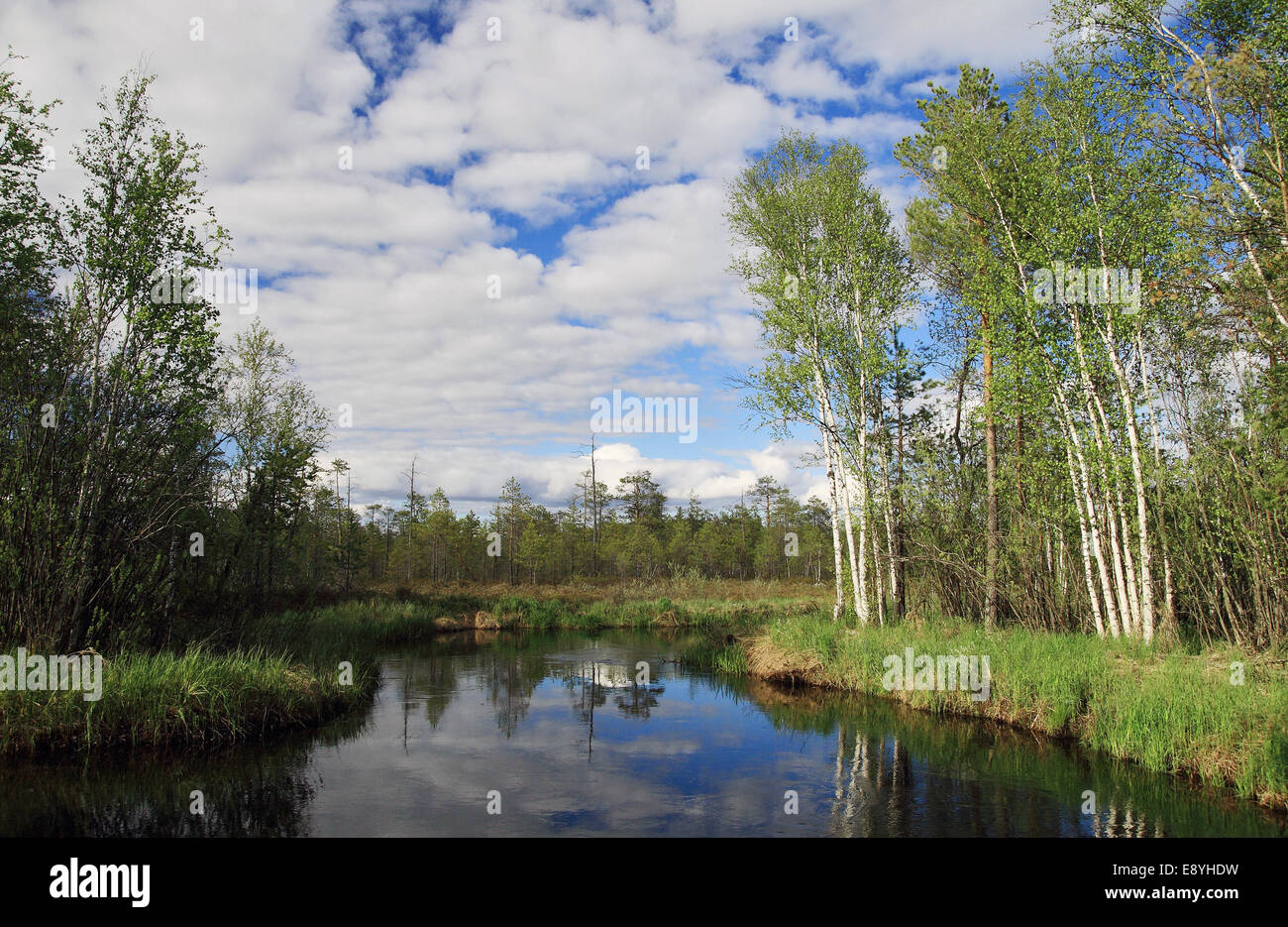 Nature of siberia hi-res stock photography and images - Alamy