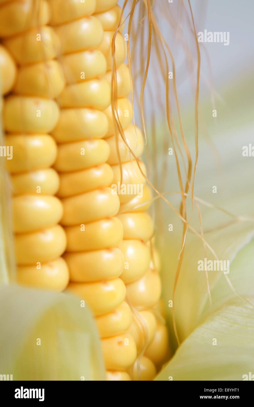 Whole maize hi-res stock photography and images - Alamy