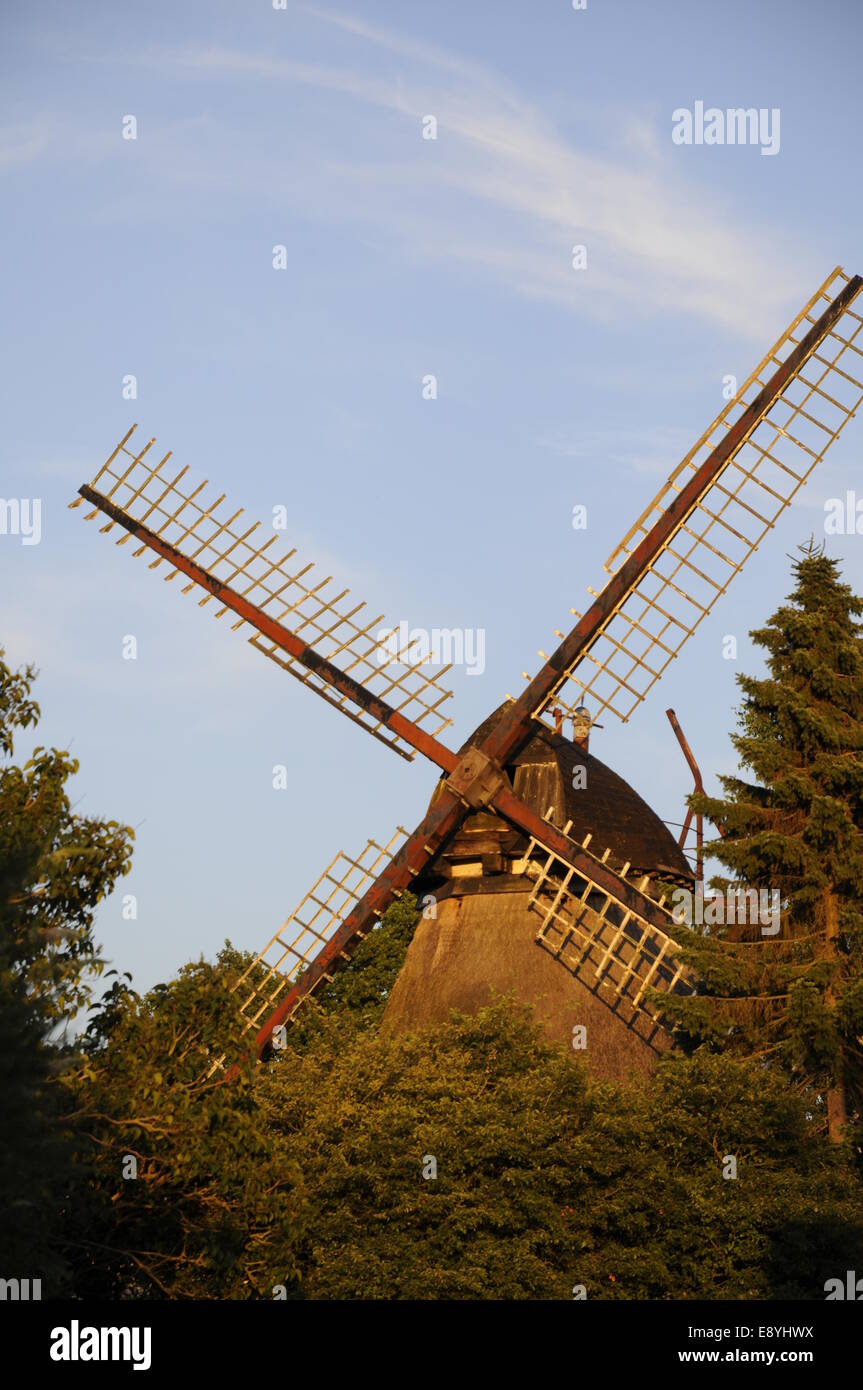 Windmill in Windbergen Stock Photo - Alamy