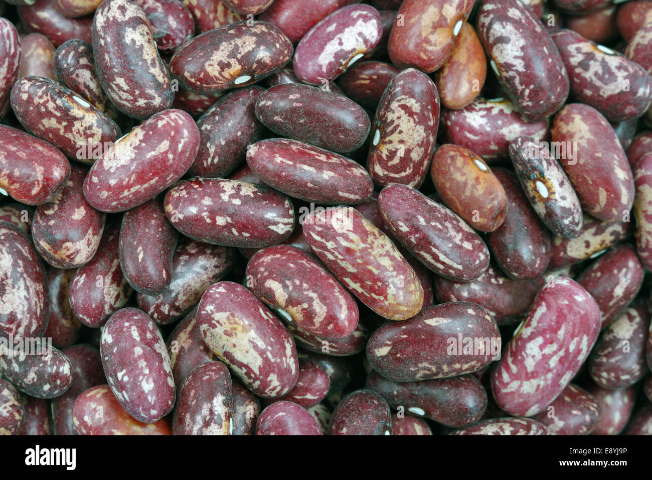 Grains of red beans Stock Photo - Alamy