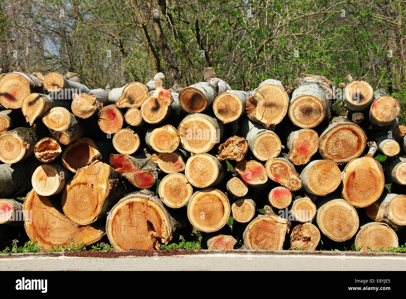 Firewood pile outdoor Stock Photo - Alamy