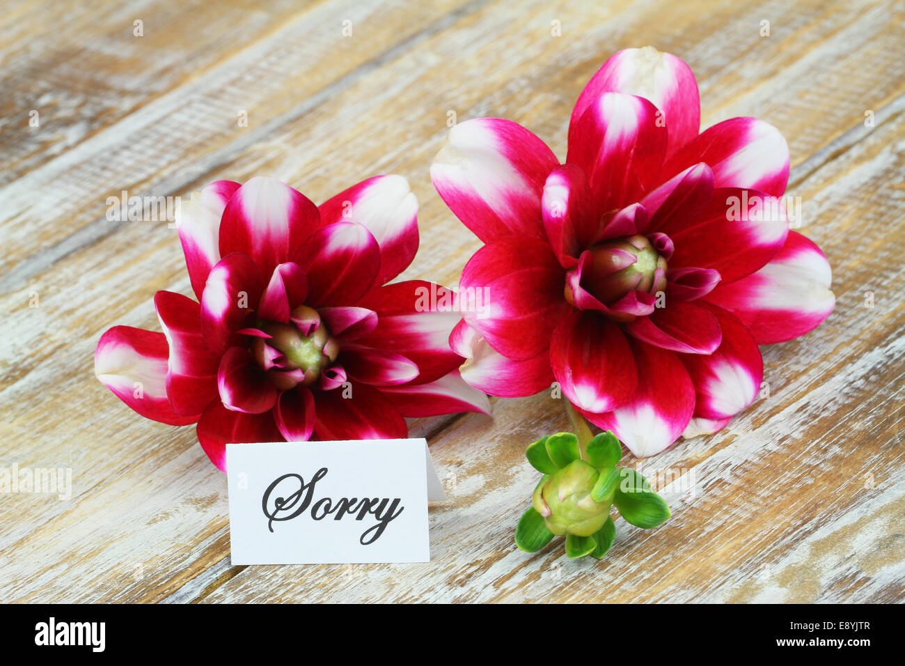 Apology note flowers hi-res stock photography and images - Alamy