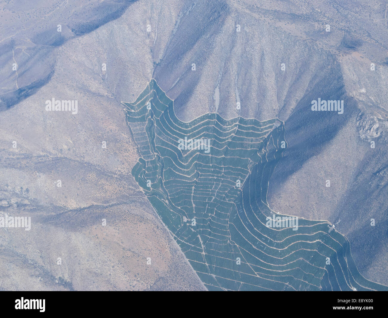 Crop fields in the Maipo Valley, Santiago de Chile, Chile Stock Photo ...