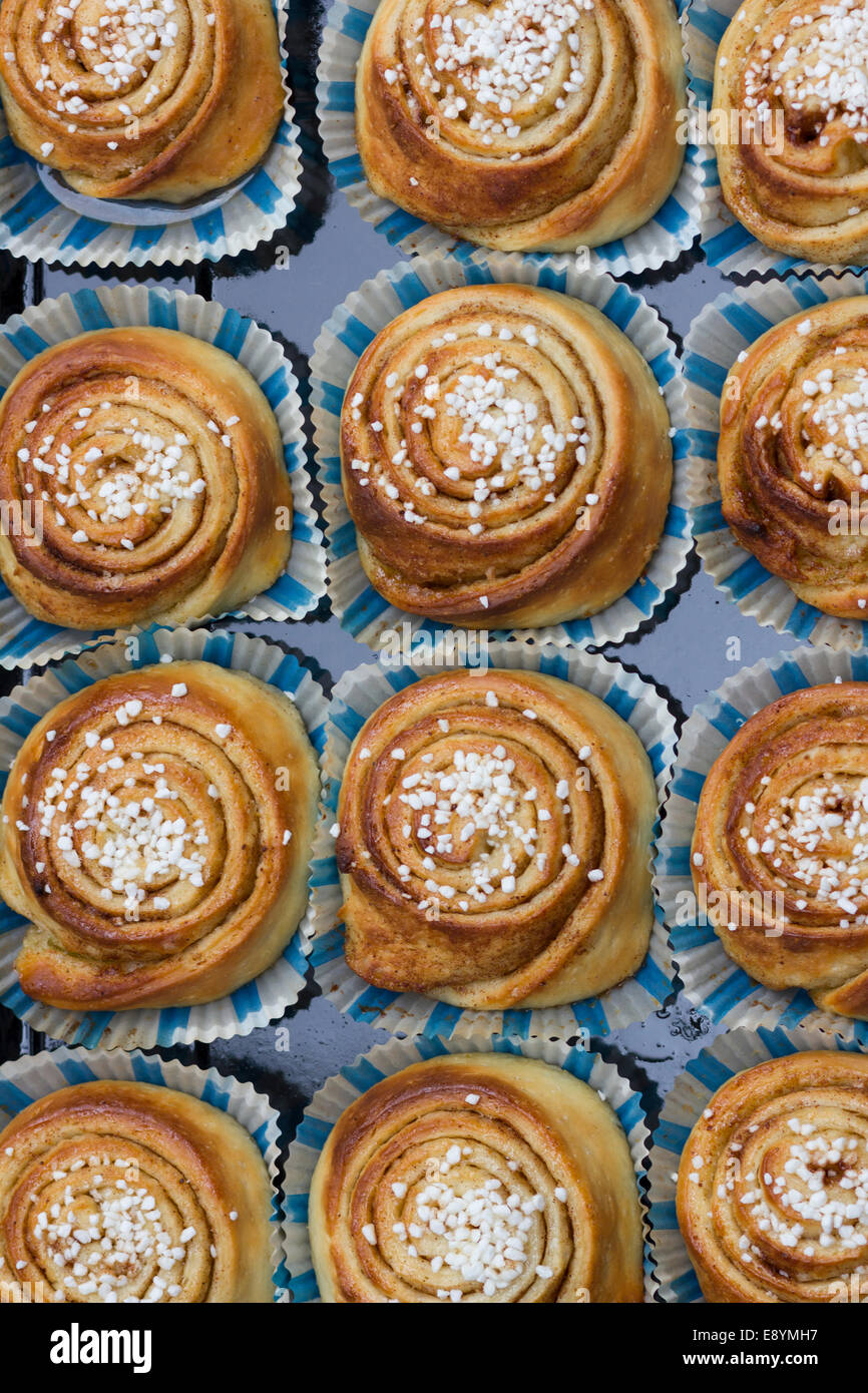 Bun cases hi-res stock photography and images - Alamy