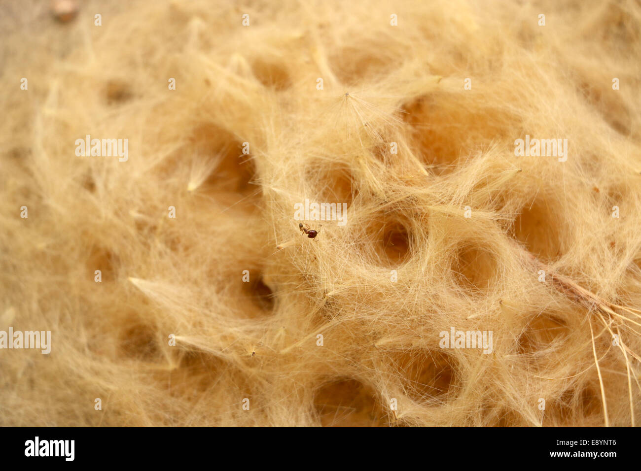 Clusters Of Holes