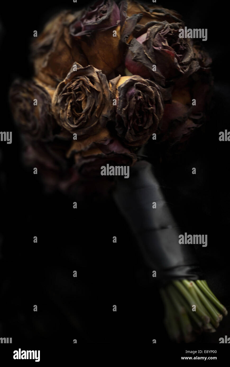 Decaying black roses / Rotting flowers Stock Photo - Alamy