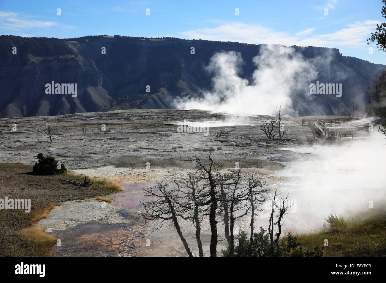 Upper Mammoth Terrace in Yellowstone National Park USA Stock Photo - Alamy