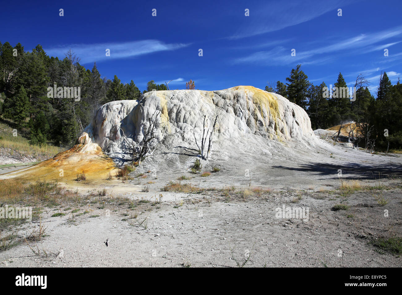 Orange Spring Mound on the Upper Terrace Loop Road in Mammoth Hot ...