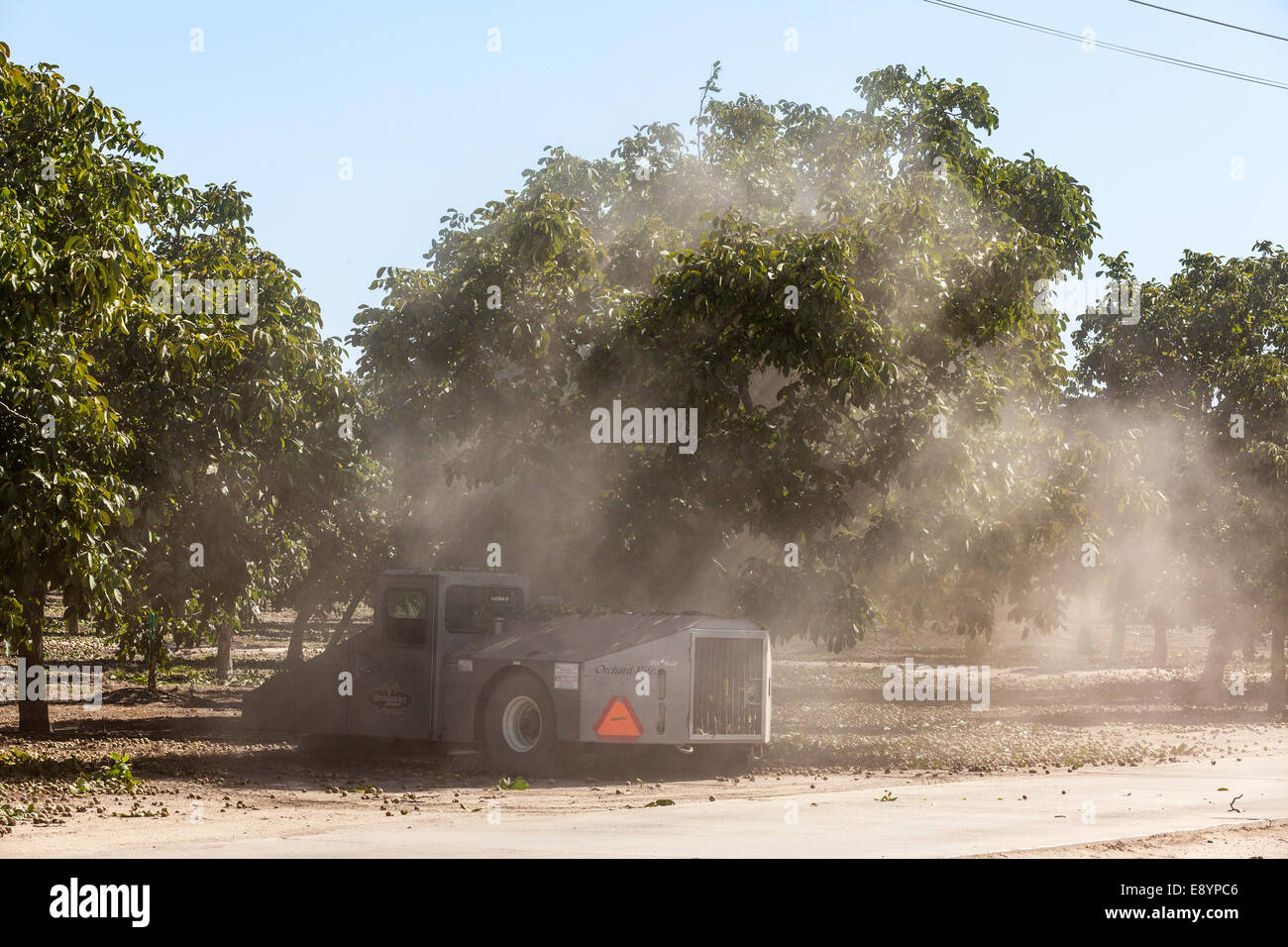 Tree shaking hi-res stock photography and images - Alamy