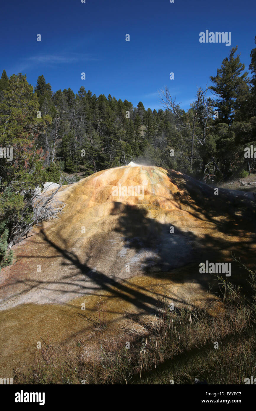 Grassy Spring at Mammoth Hot Springs Upper Terrace Loop Road in ...