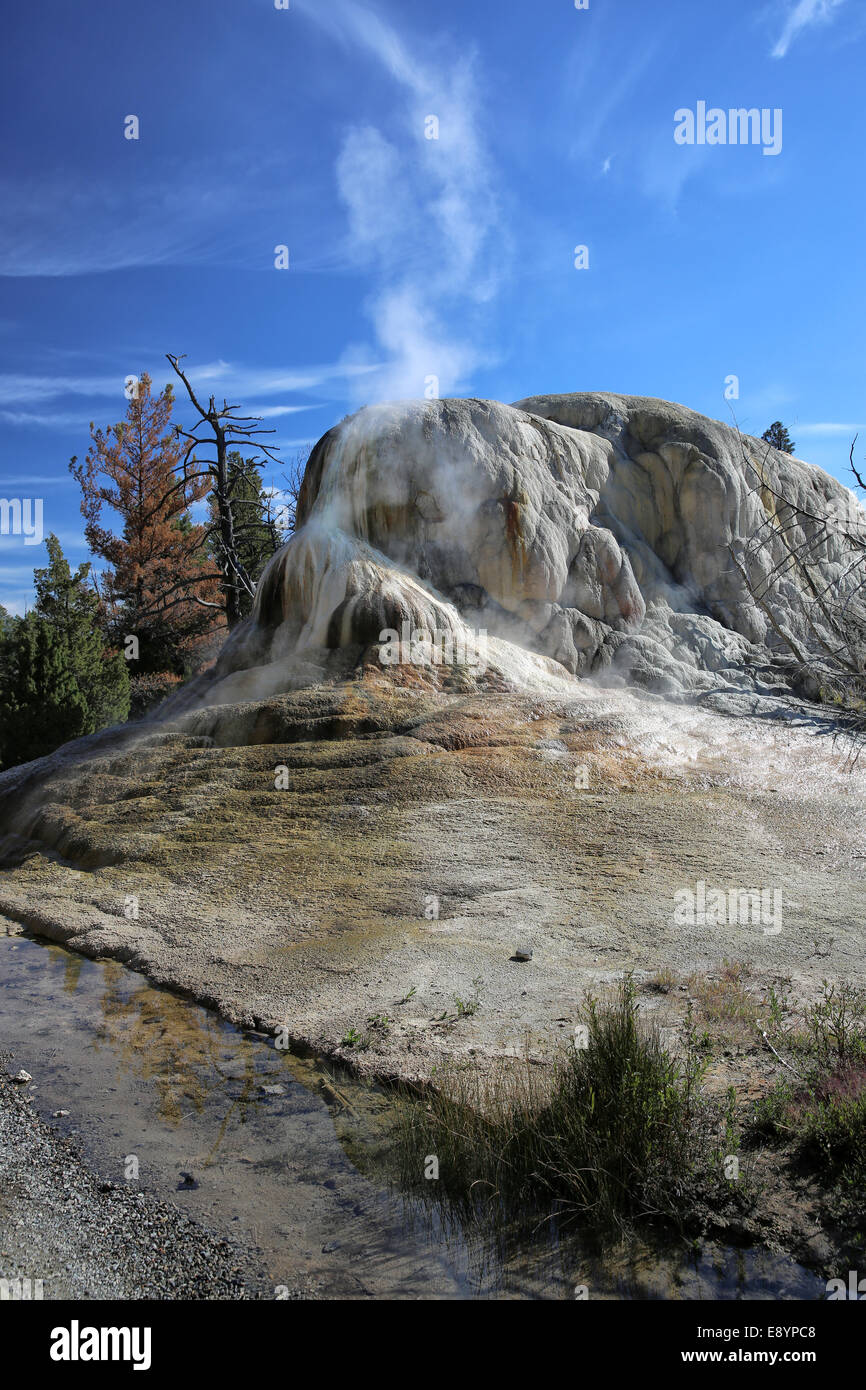 Orange Spring Mound on the Upper Terrace Loop Road in Mammoth Hot ...