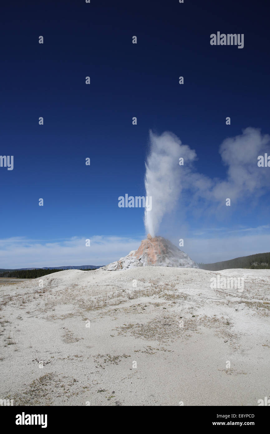 White Dome Geyser, a conspicuous cone-type geyser, in the Lower Geyser ...