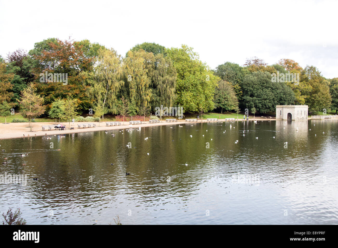 Mote Park Maidstone Kent UK comes second in competition Stock Photo - Alamy
