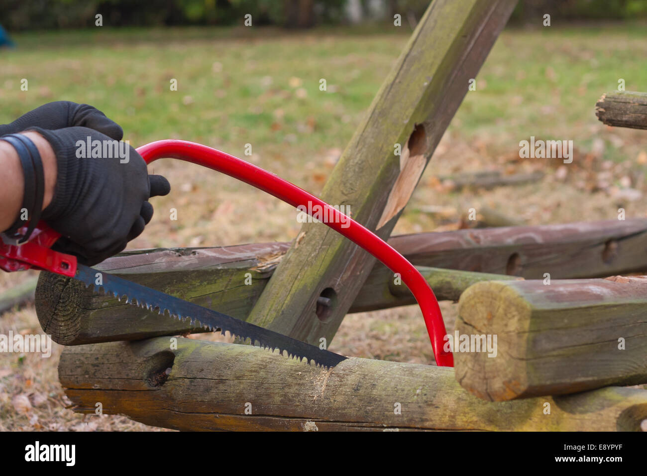 Man boy sawing hi-res stock photography and images - Alamy