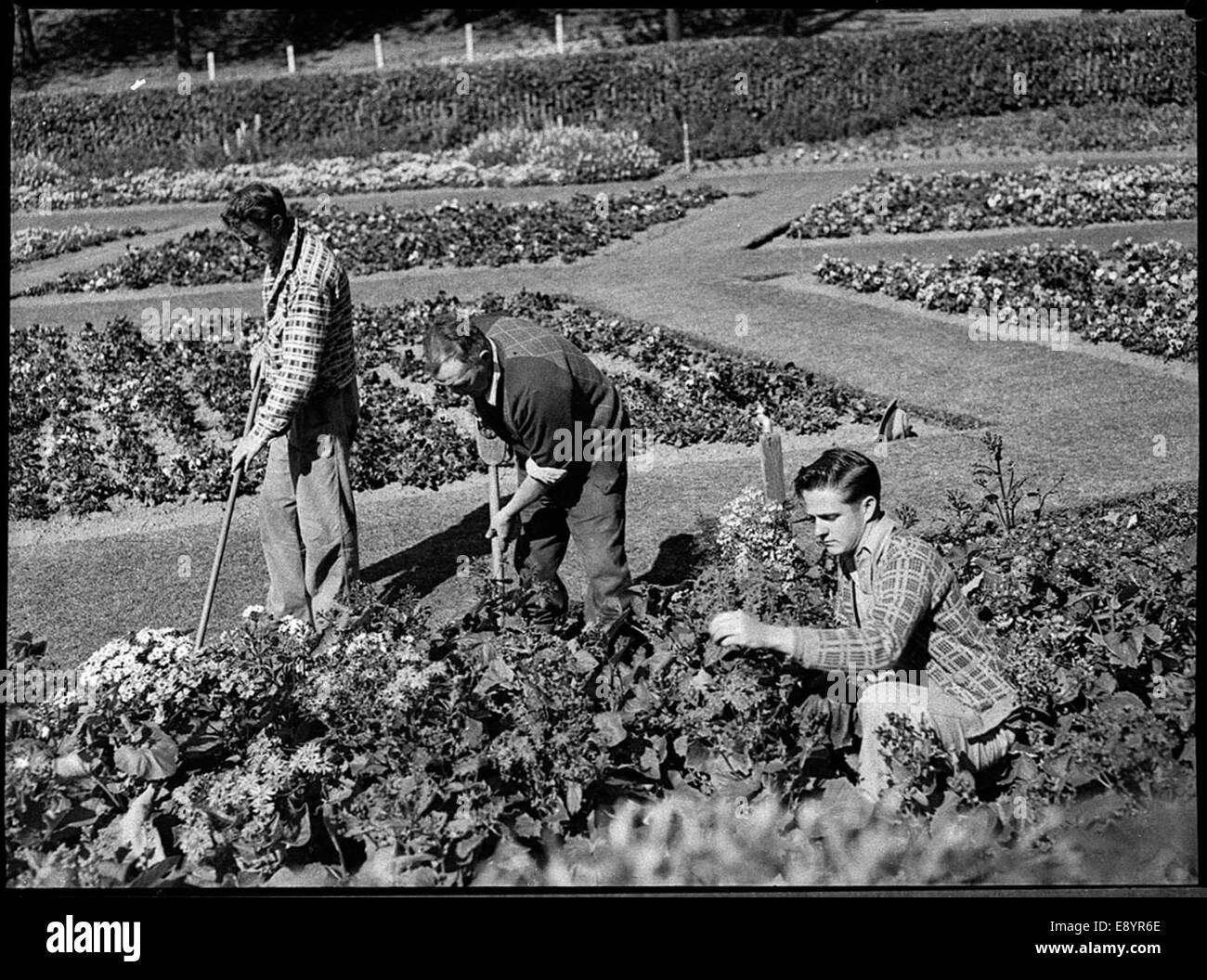 Displays flowers Black and White Stock Photos & Images - Alamy