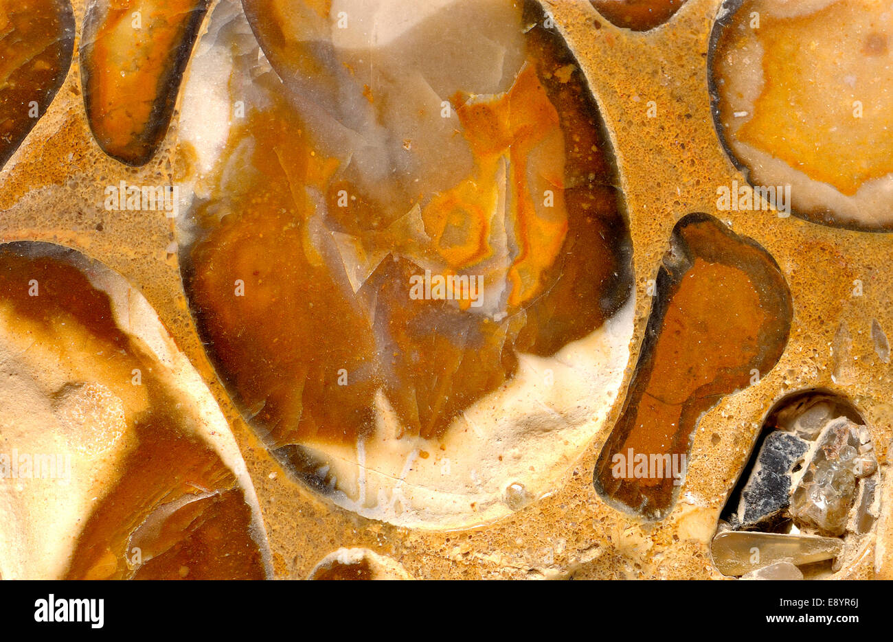 Puddingstone - glacial silica conglomerate Stock Photo - Alamy