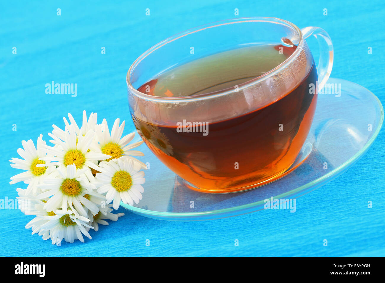 Cup of tea and white daisies on blue background with copy space Stock ...