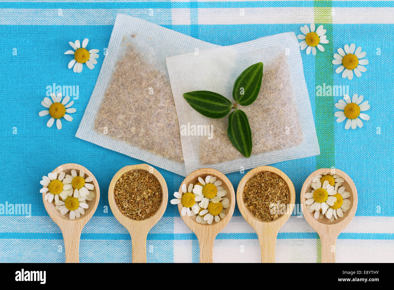 Fresh and dried chamomile flowers and chamomile tea bags Stock Photo ...