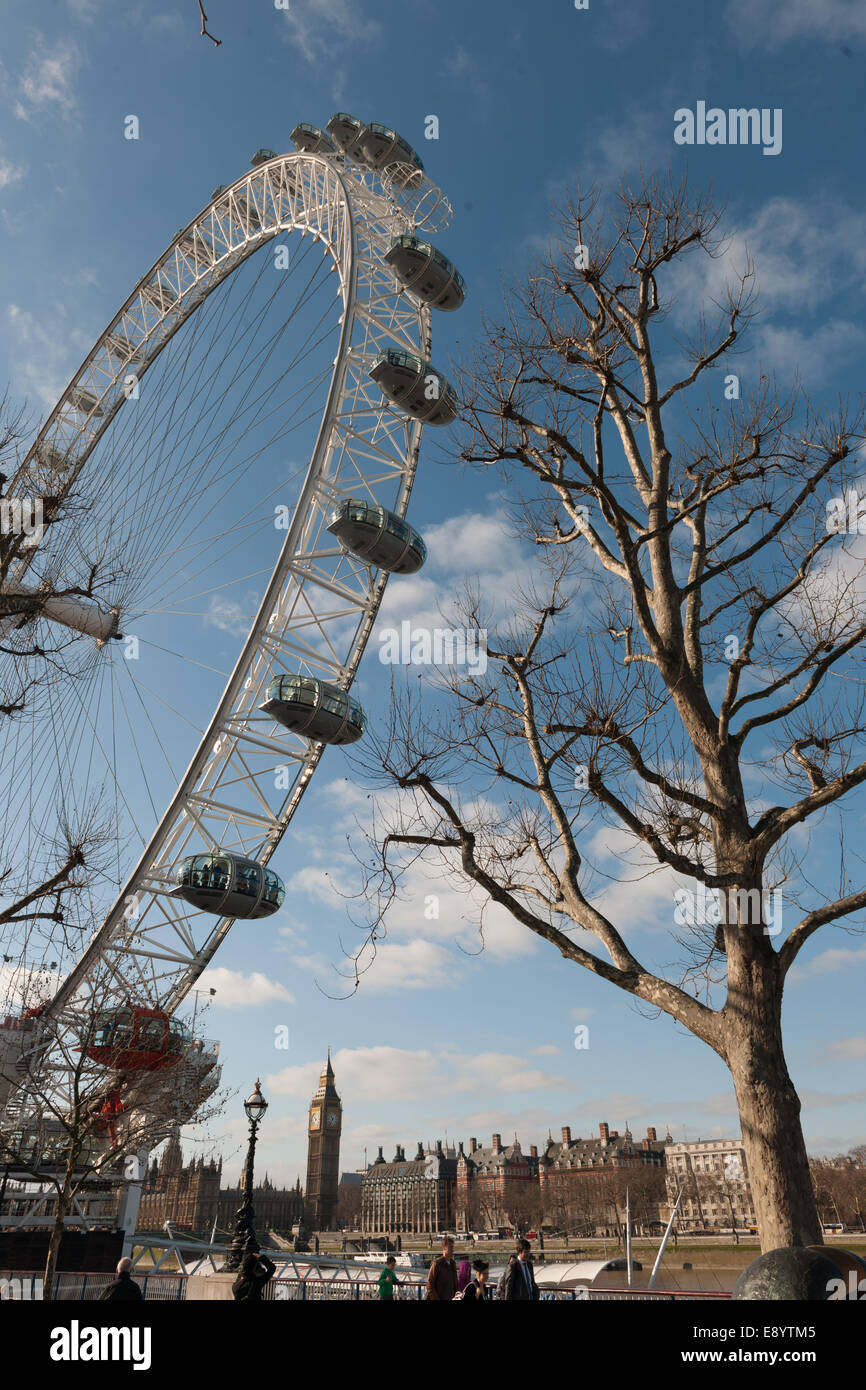 Wind Tree London Photographer Pictures From London And