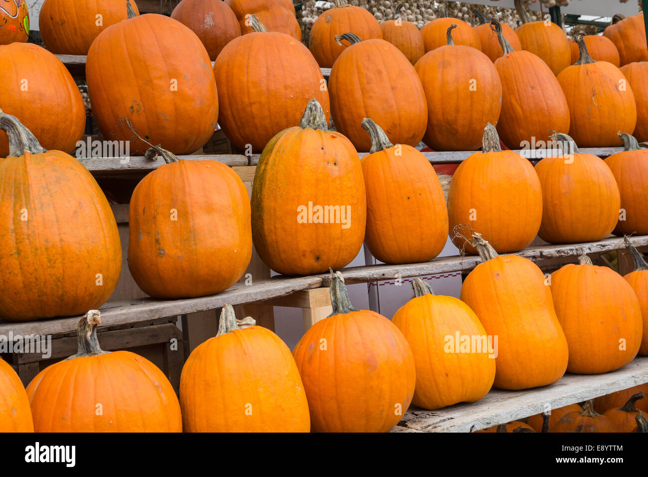Pumpkins at a market stall Stock Photo - Alamy