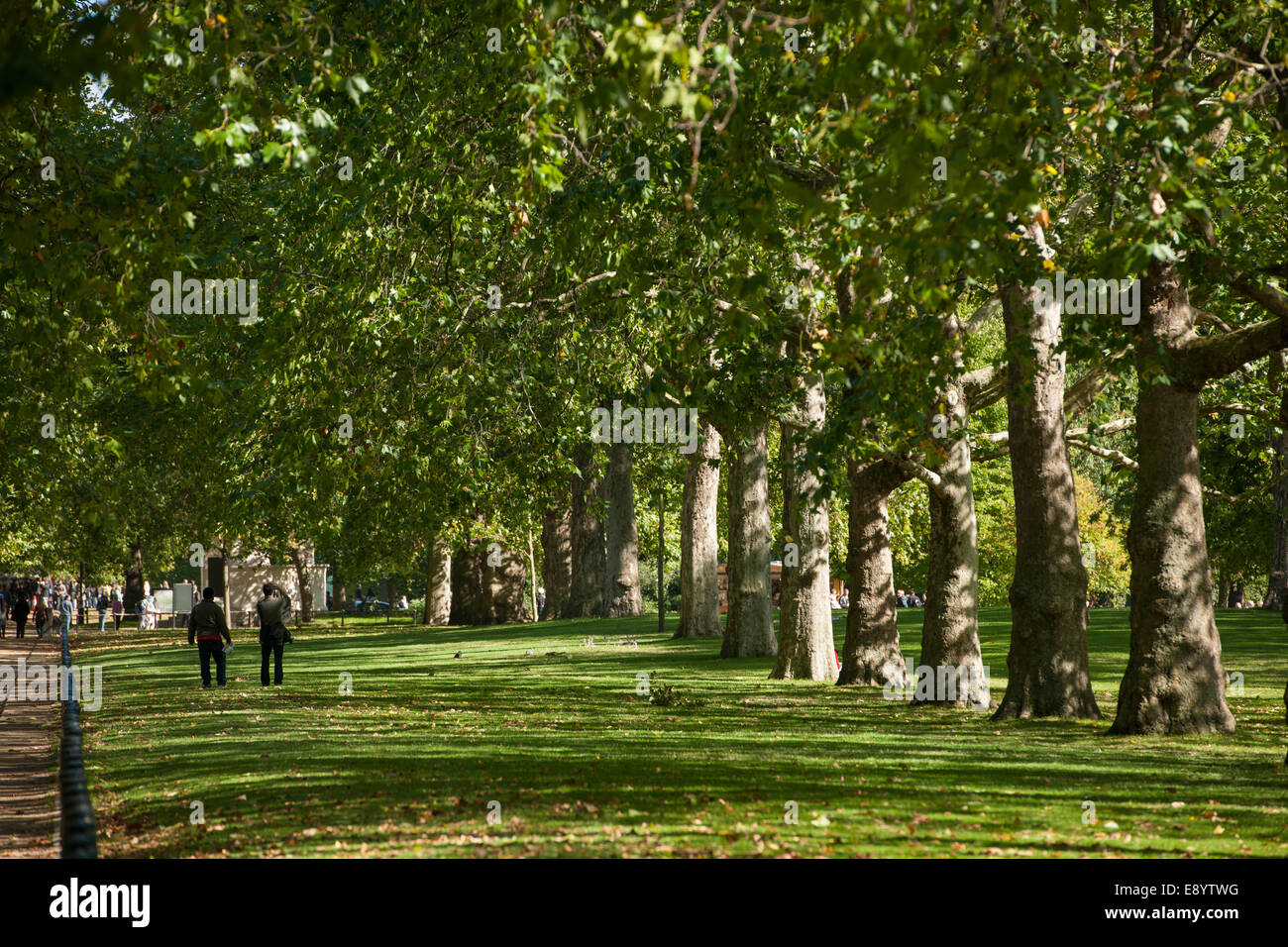 Under canopy hi-res stock photography and images - Alamy