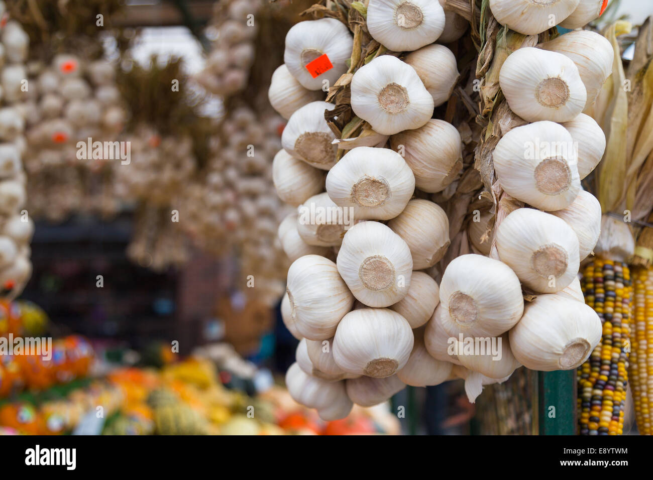 Hanging garlic cloves hi-res stock photography and images - Alamy