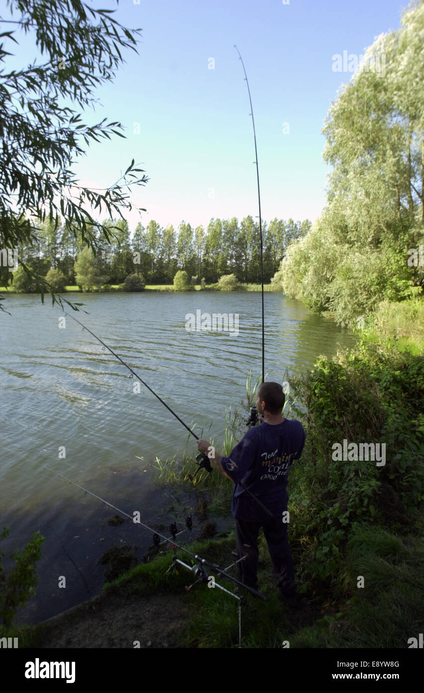 Man carp fishing with three rods on lake in Gloucestershire England UK ...