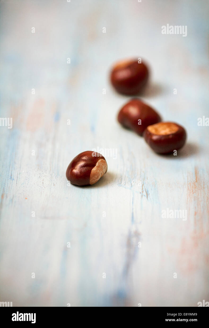 Chestnuts on Blue Surface Stock Photo - Alamy