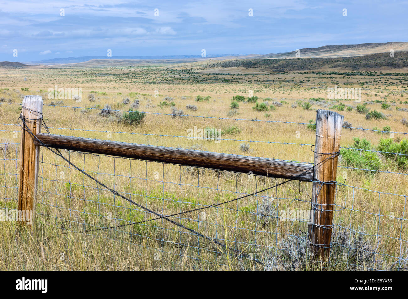 Open prairie, grassland, and dry scrub and hills under a bright sky ...
