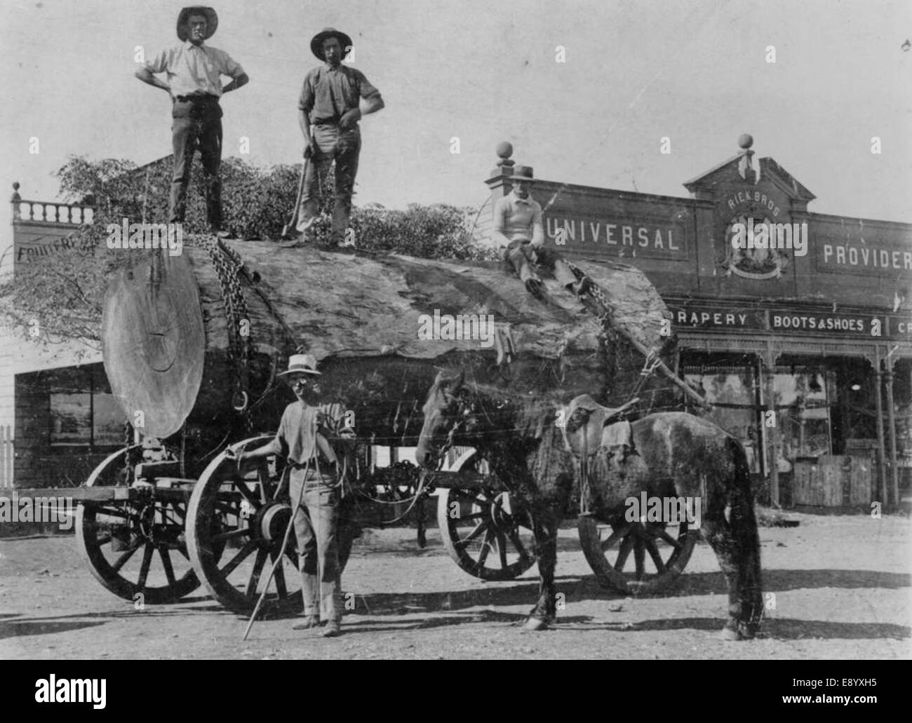 Loggers are pictured posing with a large log in Beaudesert, Brisbane ...