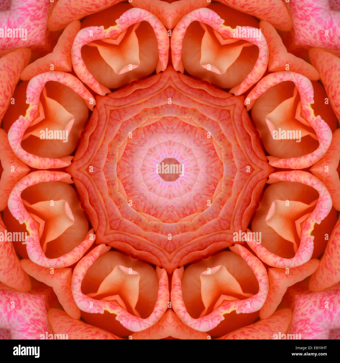 Pink flower mandala hi-res stock photography and images - Alamy