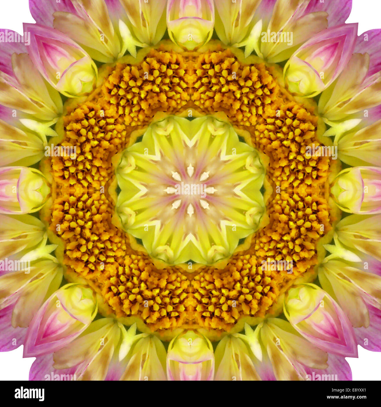 Pink flower mandala hi-res stock photography and images - Alamy