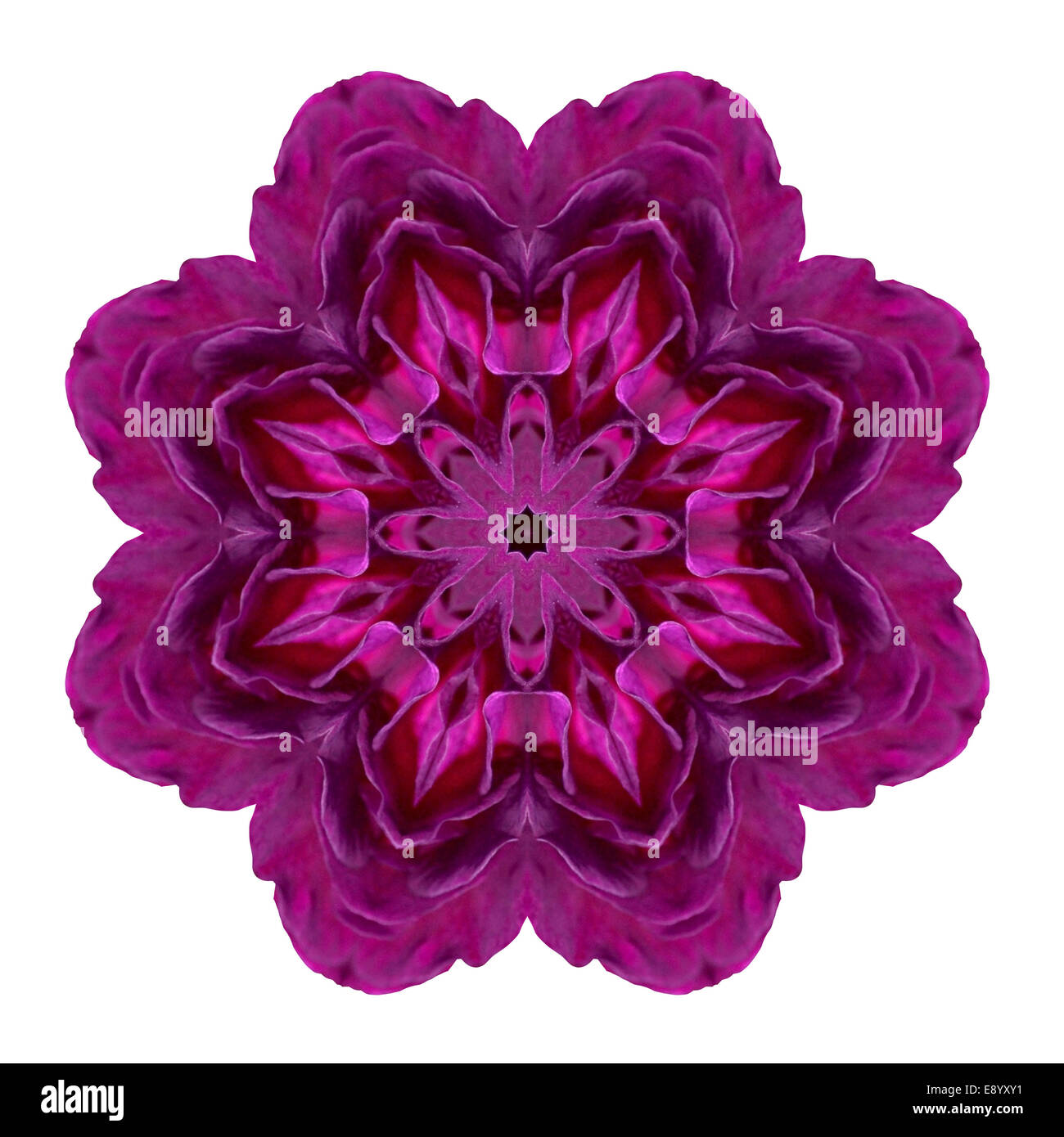 Flower mandala Cut Out Stock Images & Pictures - Alamy